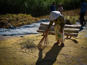 Desa Wisata Tetebatu Lombok Timur (Foto, Lokasi + Keindahan Alam)